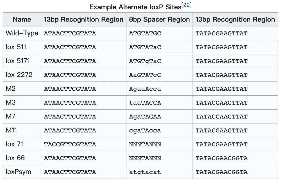 一文搞懂Cre-loxP条件性基因编辑 - 哔哩哔哩