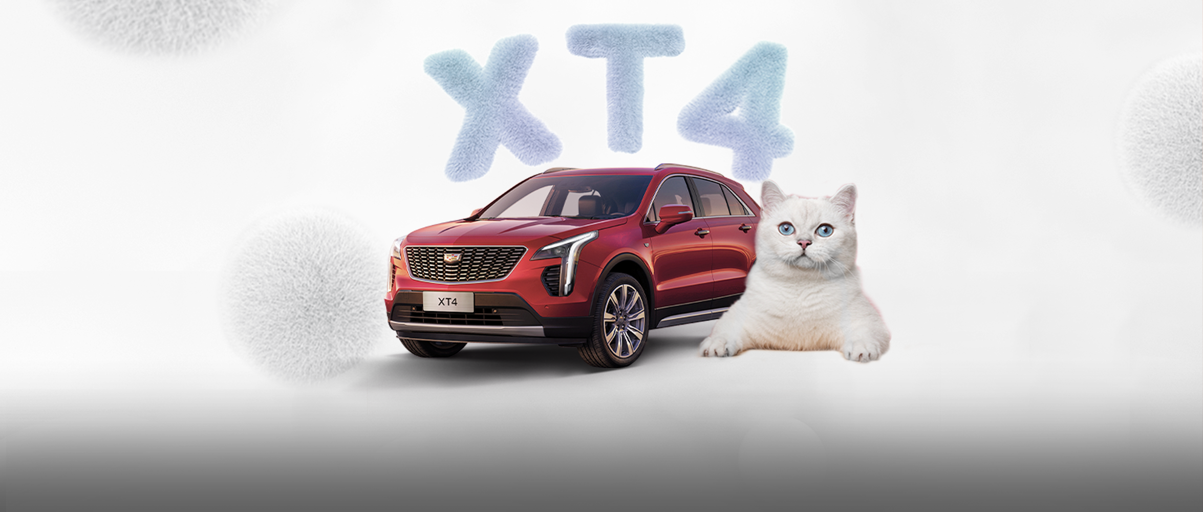 凯迪拉克XT4和喵星人一起获奖了！ - 哔哩哔哩