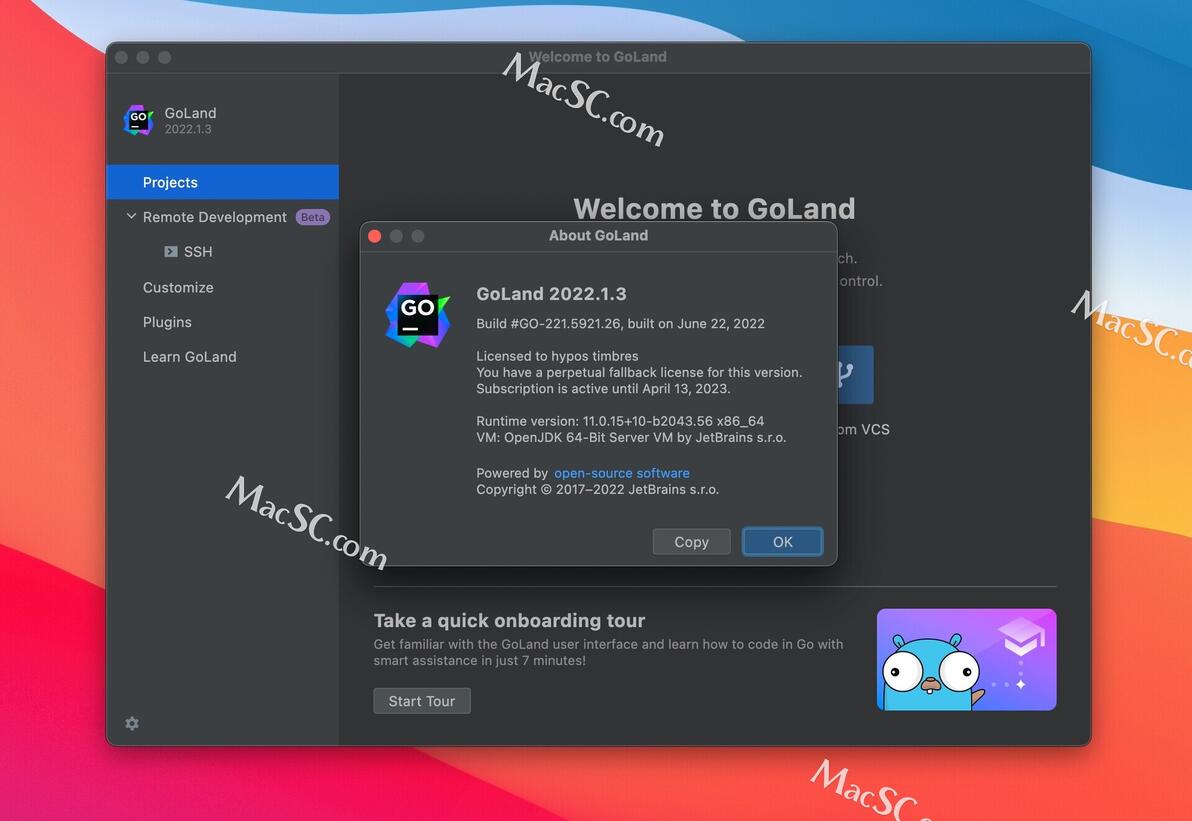 GoLand 2022 for Mac(最好用的GO语言编程软件)v2022.1.3中文激活版 - 哔哩哔哩