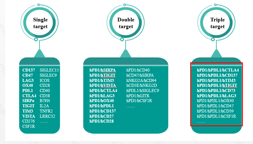 鼠库全书丨关于BALB/c，你真的真的了解吗？ - 哔哩哔哩