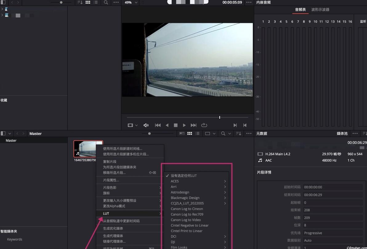 LUTs调色预设怎么用？lut预设批量导入FCPX/PR/AE/PS/Davinci 详细教程 - 哔哩哔哩