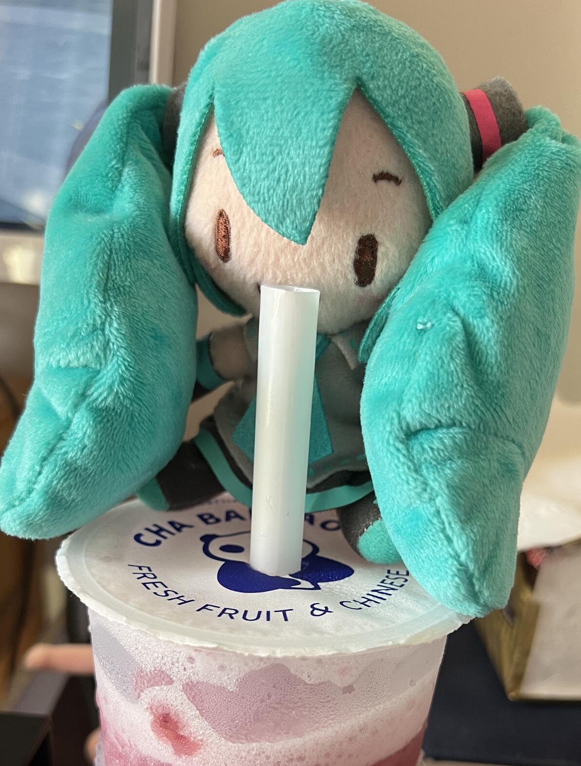 关于哈次家のFUFU成员介绍（持续更新） - 哔哩哔哩