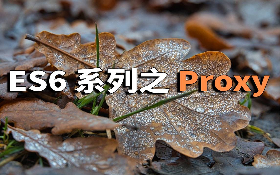 ES6 系列之 Proxy - 哔哩哔哩