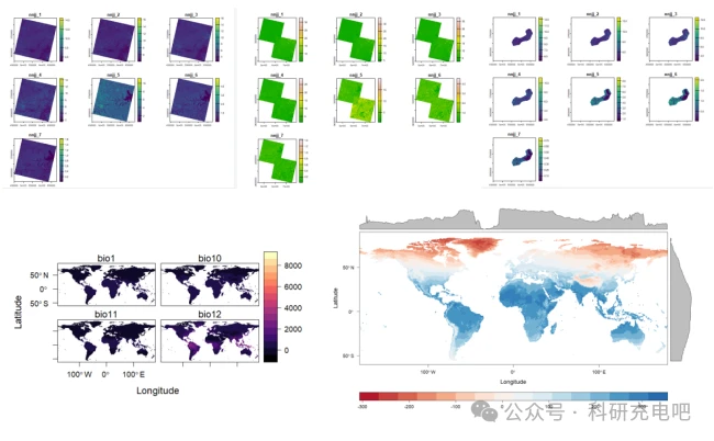探索生物多样性：掌握R语言和MaxEnt模型，物种分布模拟、物种分布建模与预测！ - 哔哩哔哩