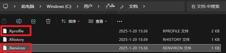 解决R报错Fatal error: 'R TempDir' contains space - 哔哩哔哩