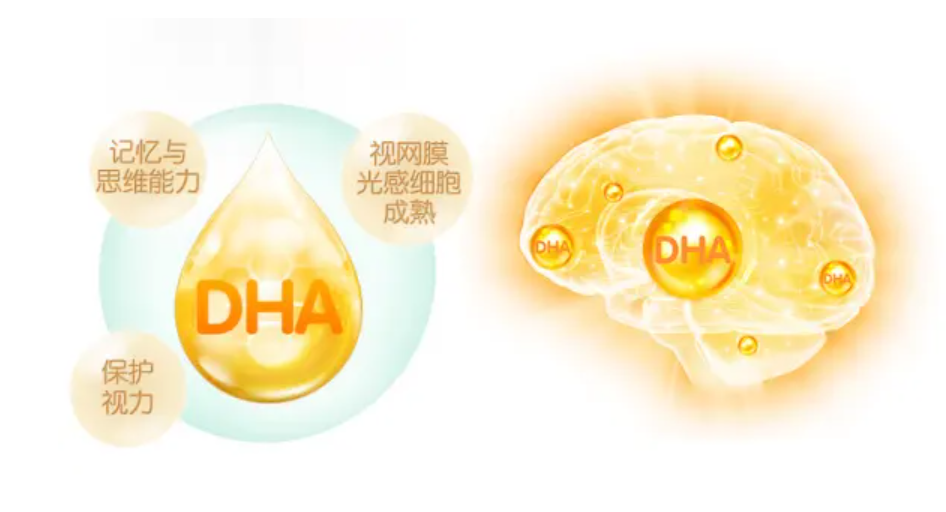 DHA一文了解其作用 哪种DHA适合自己 - 哔哩哔哩