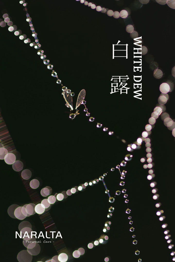 白露 你最想知道的节气含义 ？ 索汀 ST&SOTINE - 哔哩哔哩