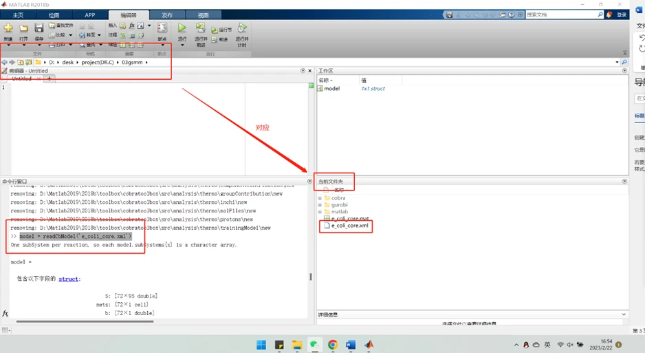 基因组规模代谢模型（GSMM）中流平衡分析（FBA)运算 - 哔哩哔哩