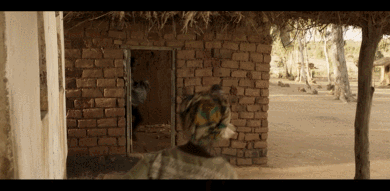 The Boy Who Harnessed The Wind(驭风男孩） - 哔哩哔哩