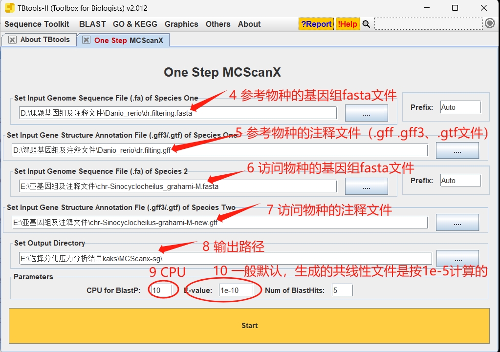 使用TBtools计算ka/ks - 哔哩哔哩