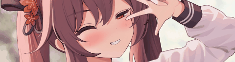 七彩虹火神OC显卡LCD屏幕GIF动图 - 哔哩哔哩