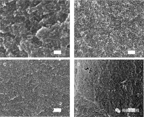 精品干货：SCI论文中怎样描述SEM结果？ - 哔哩哔哩