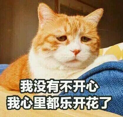 Tegra4：高跑分背后的无奈，英伟达的手机芯片“最后之作” - 哔哩哔哩