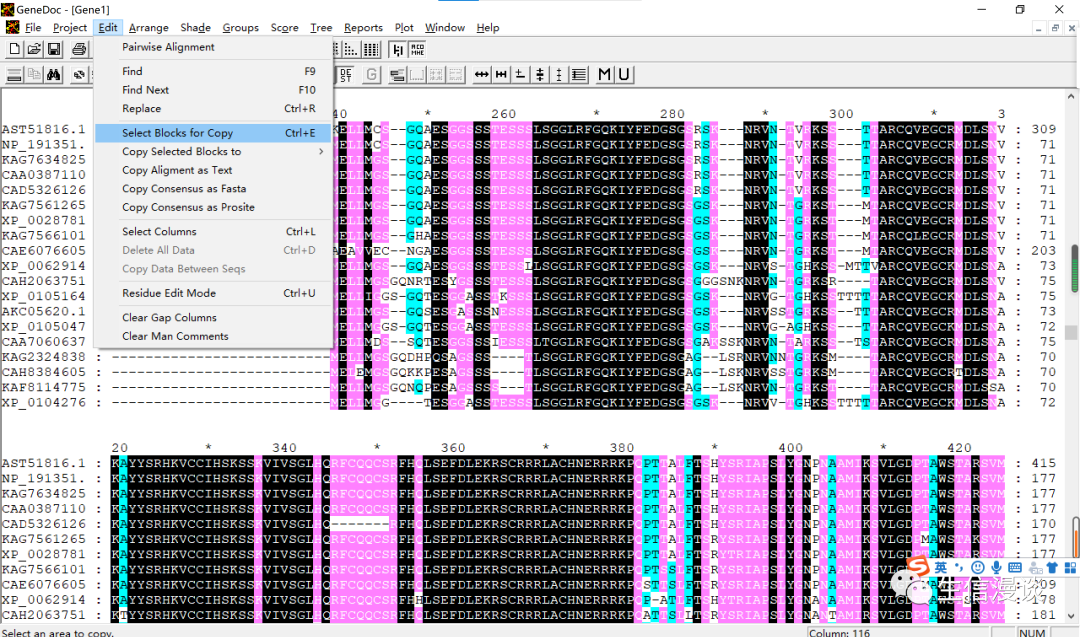 生信小白如何做出美美的多序列比对图 - 哔哩哔哩
