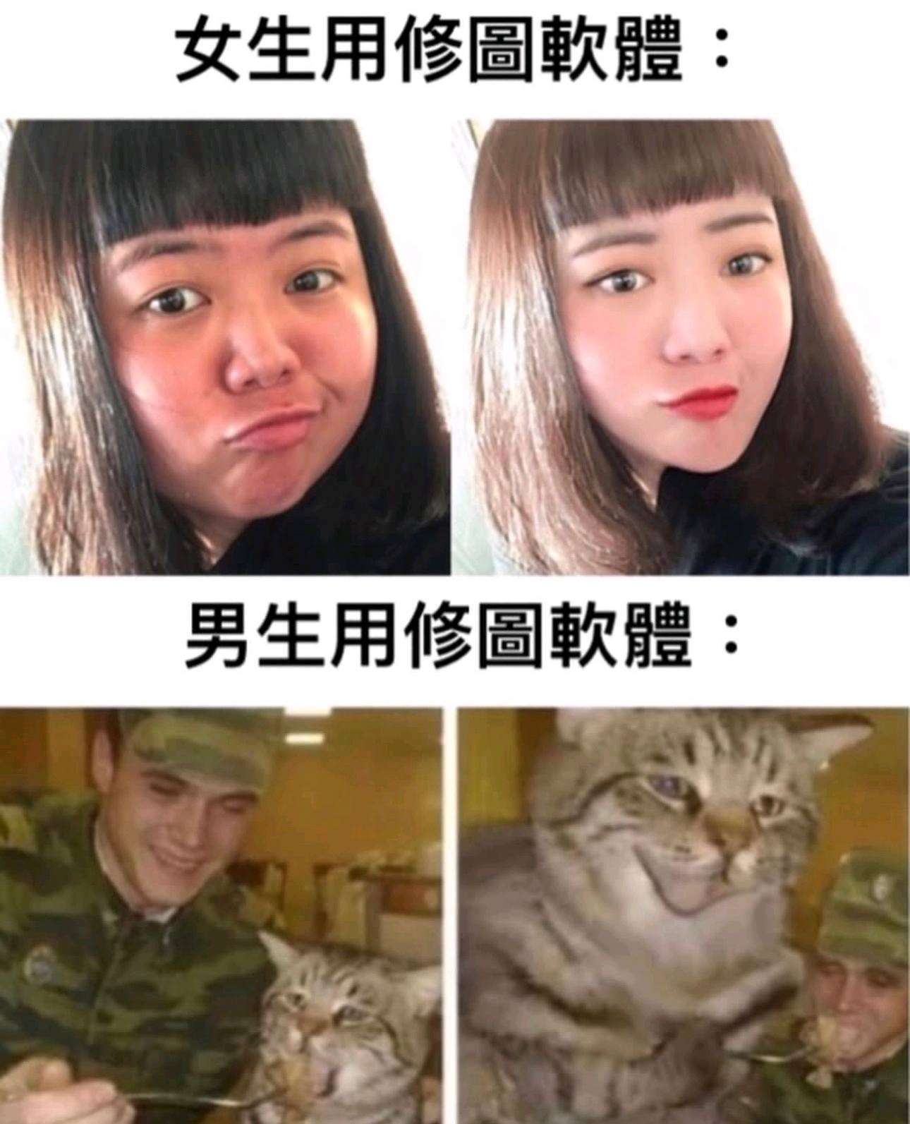 【NO.315】每日梗图/memes - 哔哩哔哩