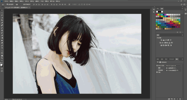 Vsco全滤镜ps插件汉化版，支持Win/Mac系统 - 哔哩哔哩