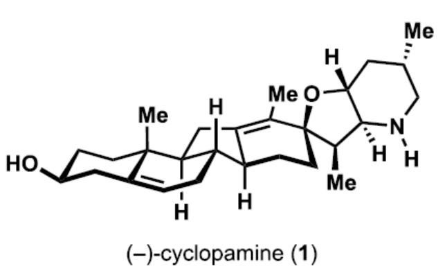 Phil S. Baran课题组最新JACS：(-)-Cyclopamine的汇聚式全合成 - 哔哩哔哩