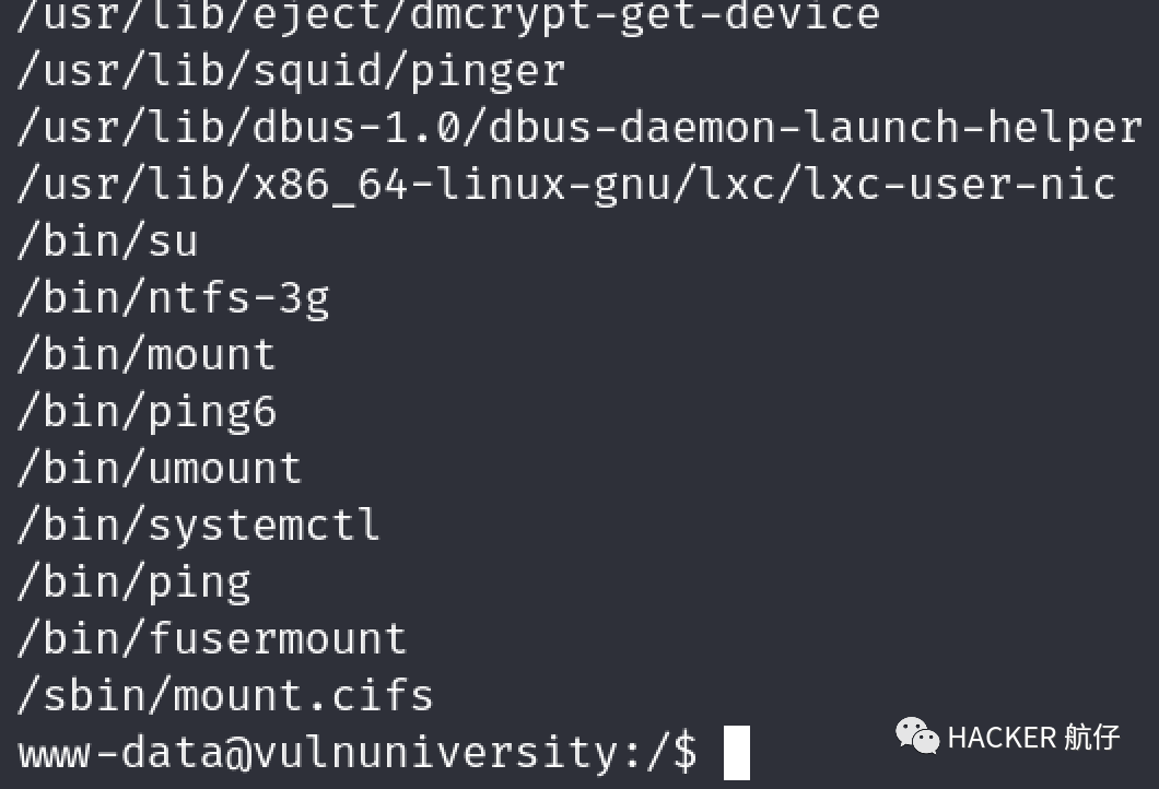 TRY HACK ME｜Vulnversity 靶场全演练 - 哔哩哔哩