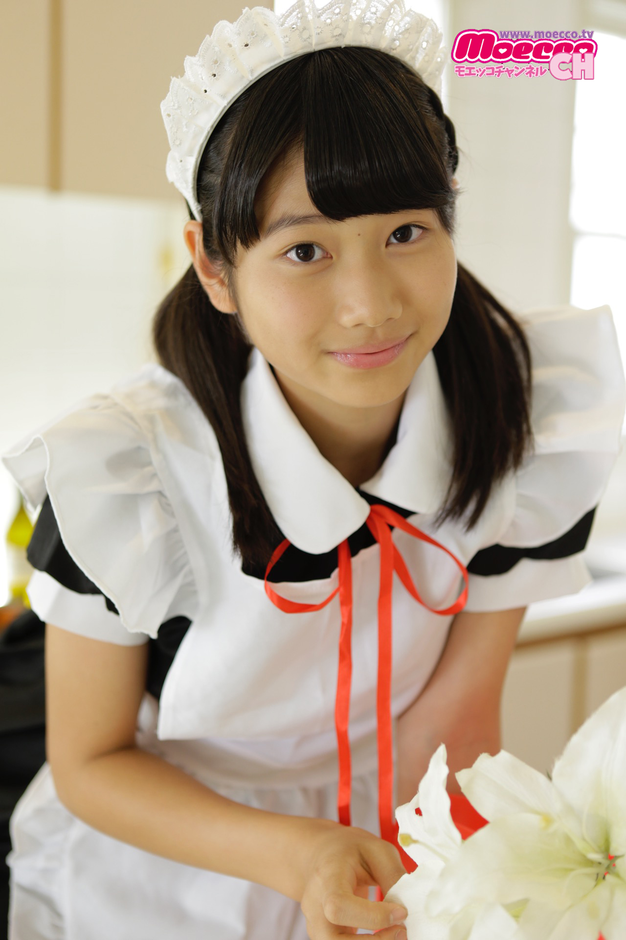 星七虹心 Nico Hoshina - 哔哩哔哩