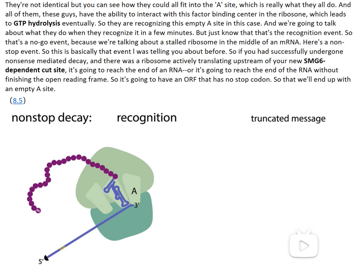 MIT 分子生物学 part3 8.9 Nonstop-Mediated versus No-go Decay (mRNA Re - 哔哩哔哩