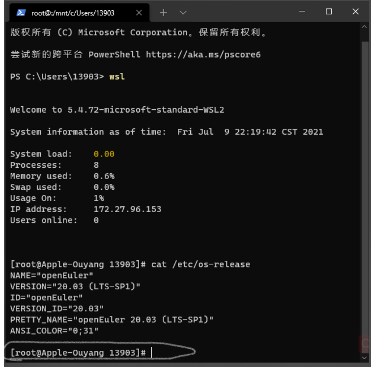OpenEuler-WSL简单使用 - 哔哩哔哩