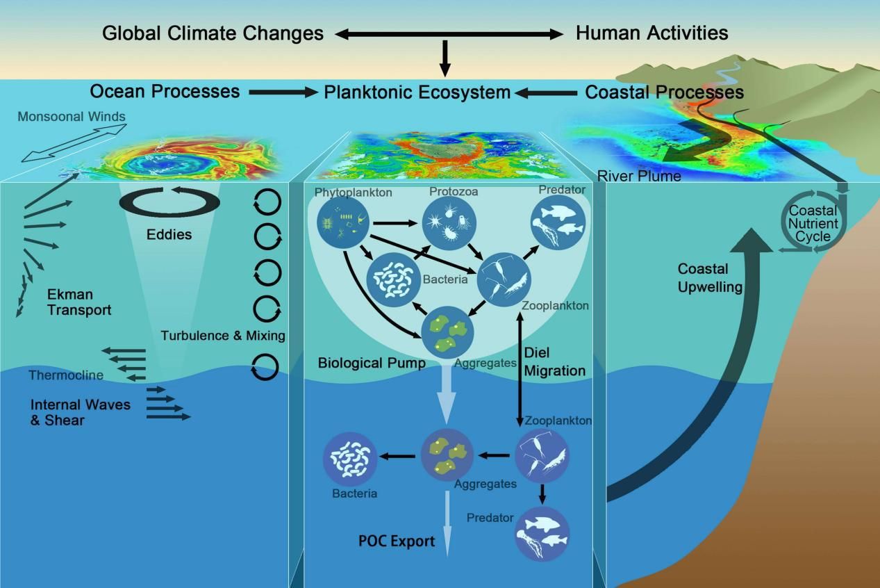 世界海洋日 | 银河幻影带你科普海洋环境相关名词 - 哔哩哔哩