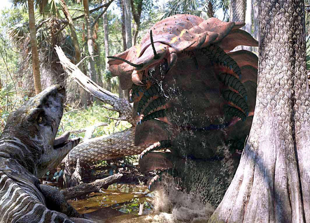 从古网翅目到蜚蠊目：一个飞翔的故事 - 哔哩哔哩