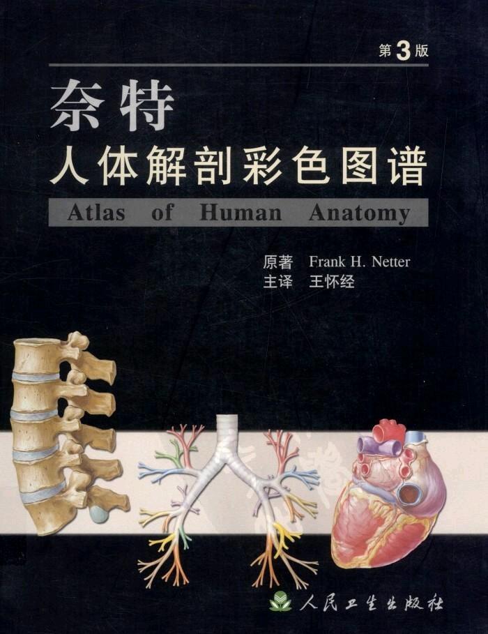 《奈特人体解剖彩色图谱 第3版》Frank H. Netter原著；王怀经主译&R - 哔哩哔哩