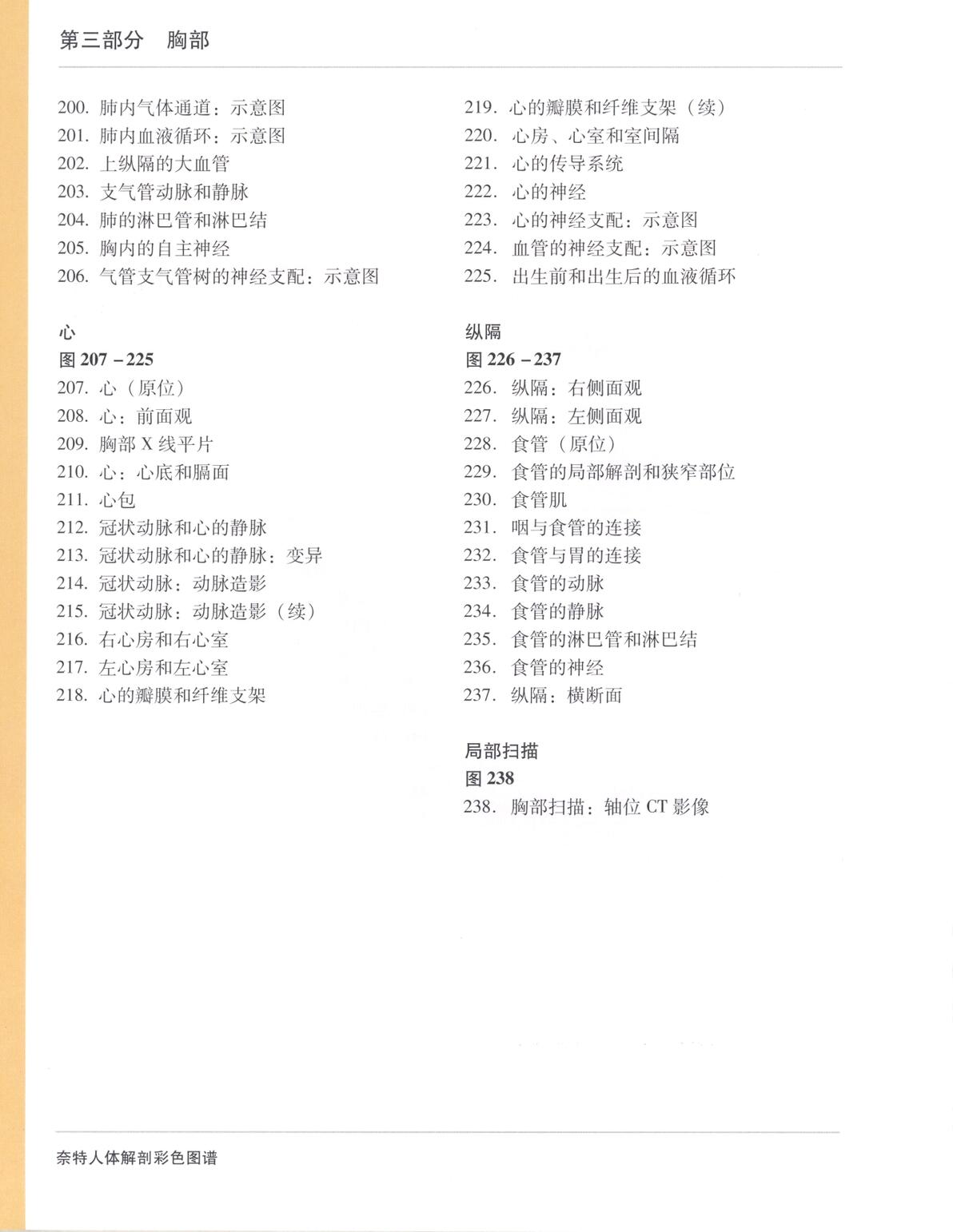 《奈特人体解剖彩色图谱 第3版》Frank H. Netter原著；王怀经主译&R - 哔哩哔哩