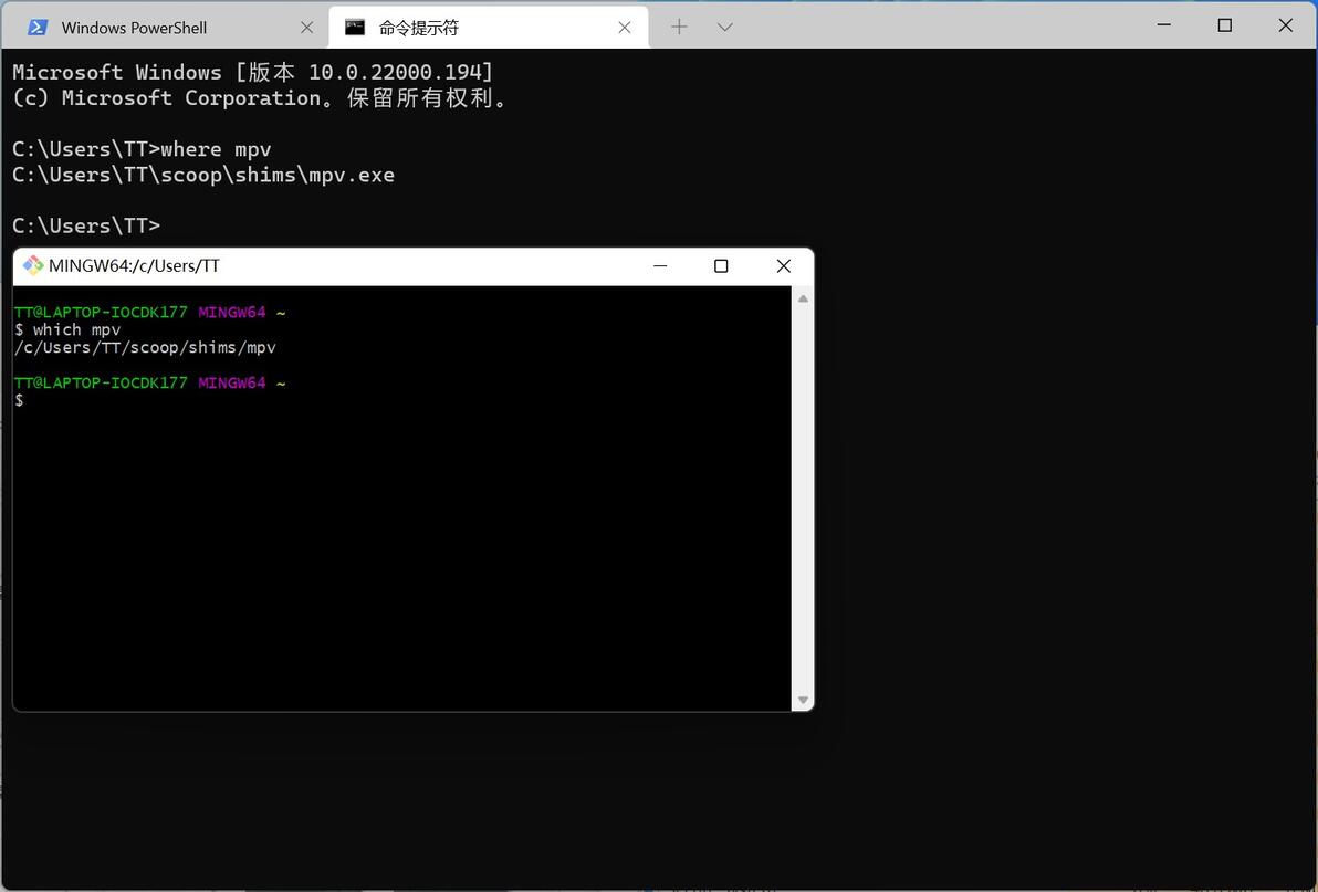 Win10上调用mpv播放浏览器视频 - 哔哩哔哩