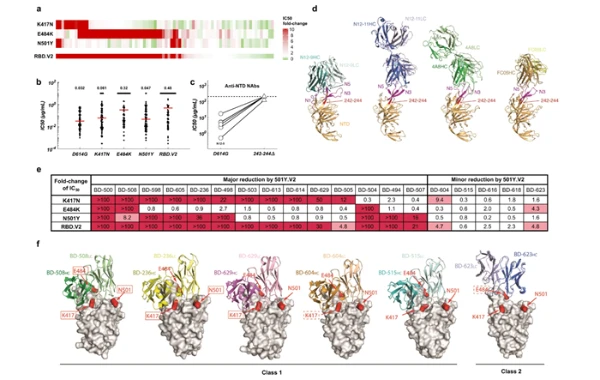 ALDOB重组蛋白介绍及功能--艾普蒂生物 - 哔哩哔哩