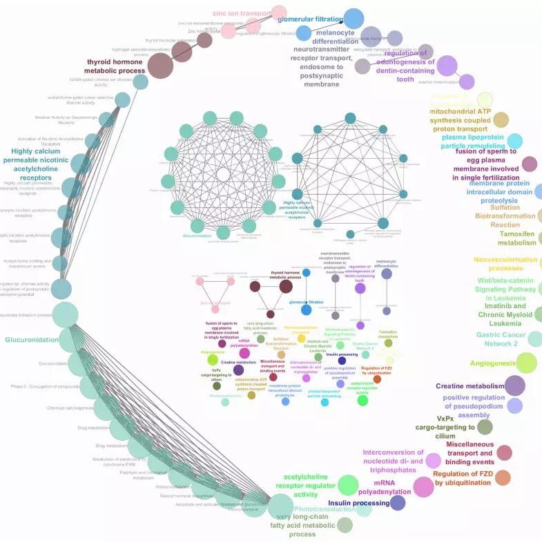 新录制了一个Cytoscape整合富集分析和基因表达的网络图绘制 - 哔哩哔哩