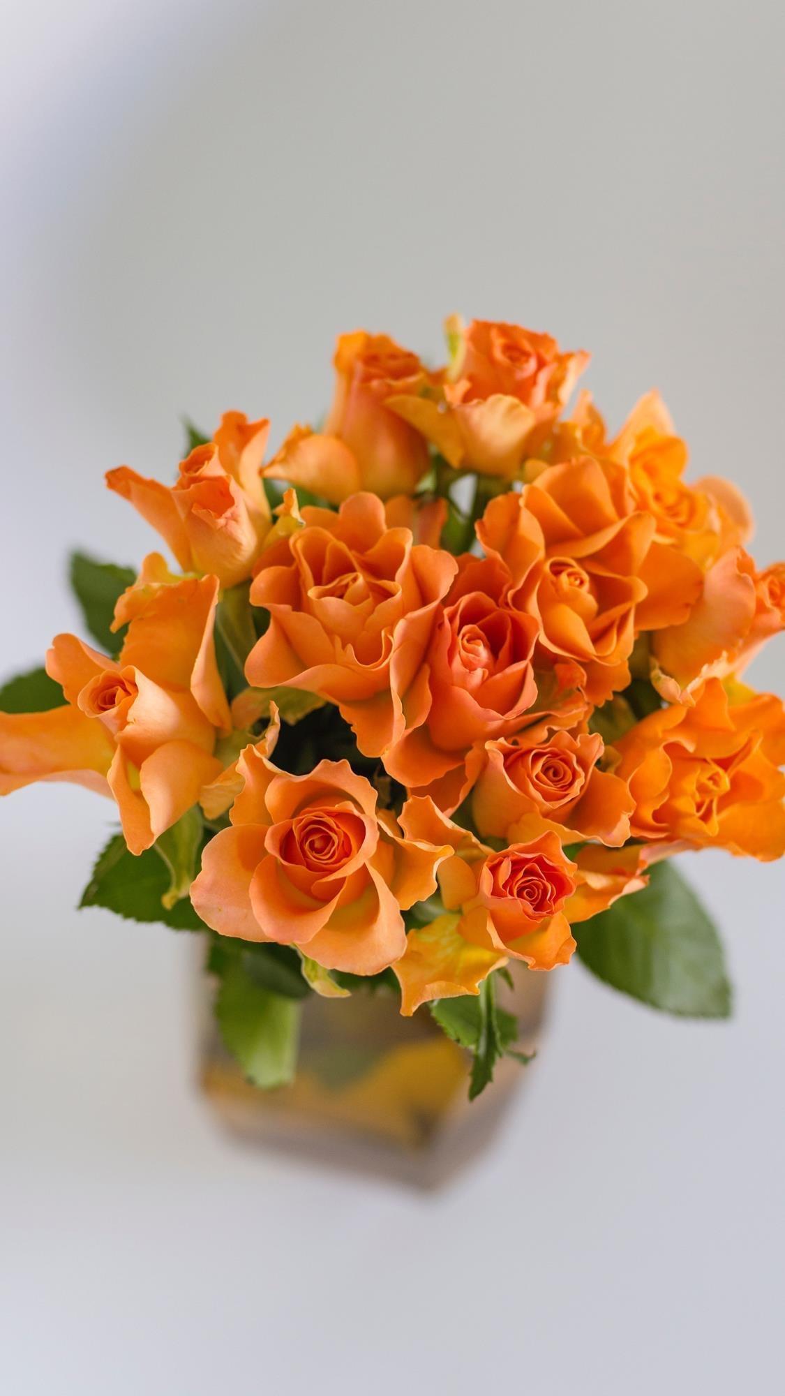 【美图分享125】七夕玫瑰特辑~~我将玫瑰藏于身后，期盼与你赴约 - 哔哩哔哩