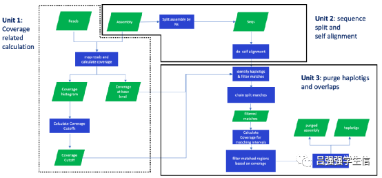 Minimap2:三代比对工具 - 哔哩哔哩