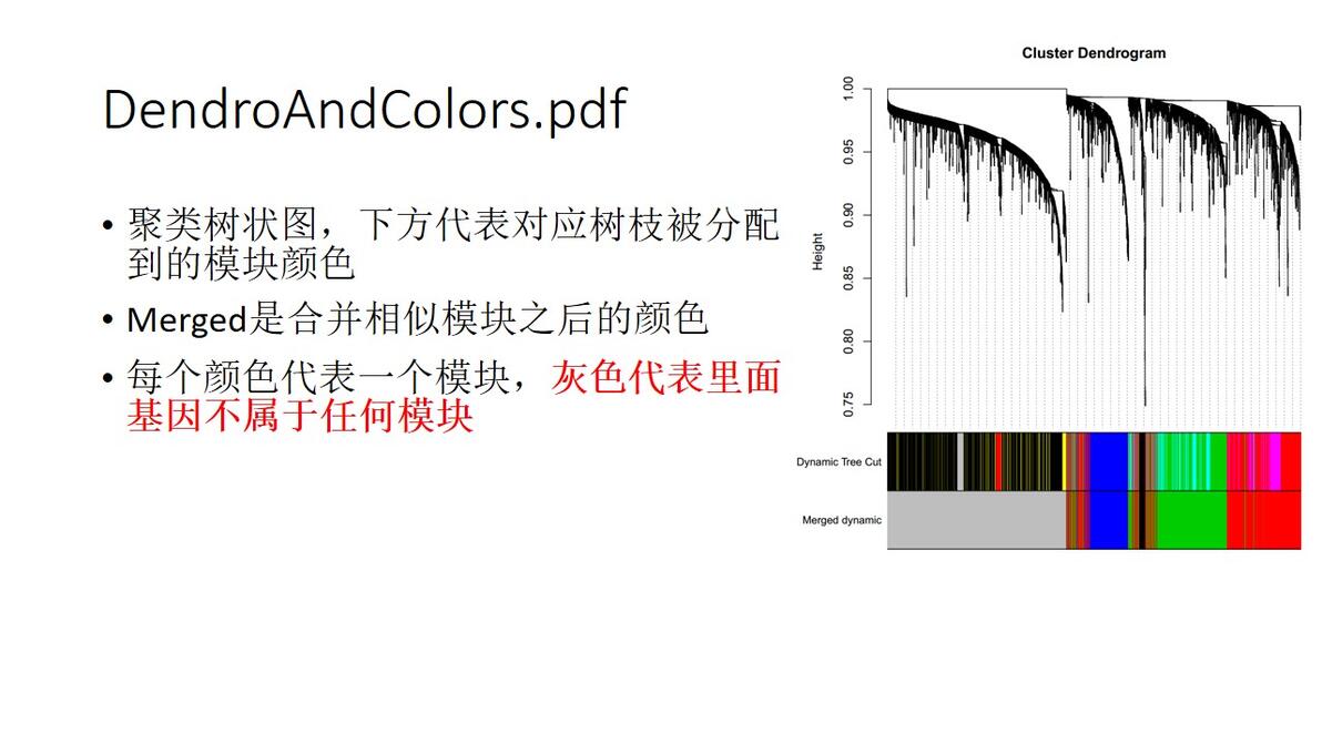 WGCNA结果如何解读？（入门cainiao必看） - 哔哩哔哩