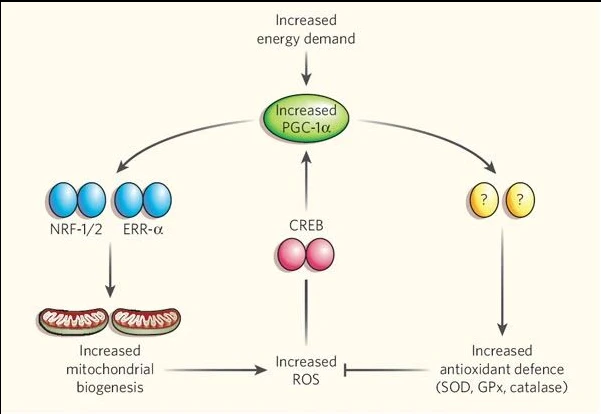 4000张绝美Nature&Science插图配色高级，构图完美! - 哔哩哔哩