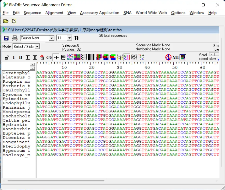 个人学习记录：建树流程1——bioedit的序列编辑及MEGA的使用 - 哔哩哔哩