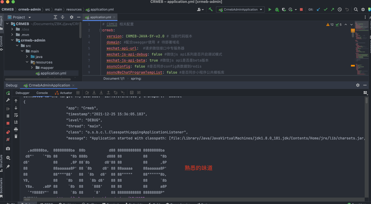 crmeb Java 2.0 本地开发开发环境搭建 - 哔哩哔哩