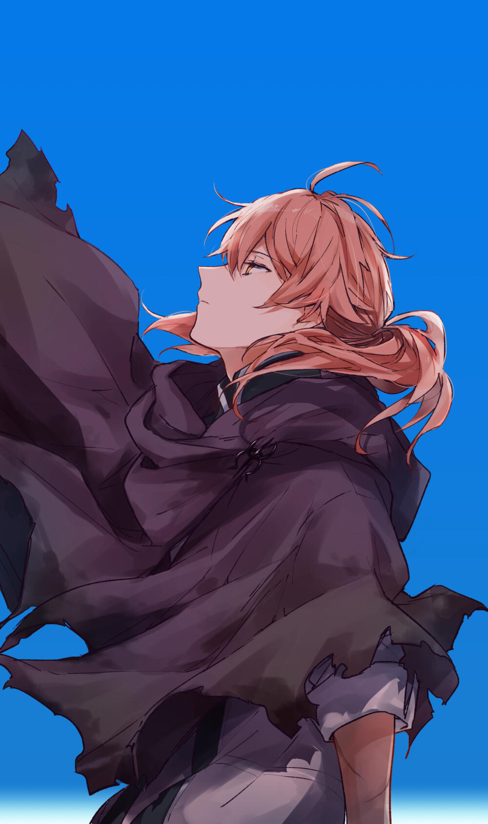 FGO兽阶正式实装，还有哪些从者能以兽阶落地？ - 哔哩哔哩