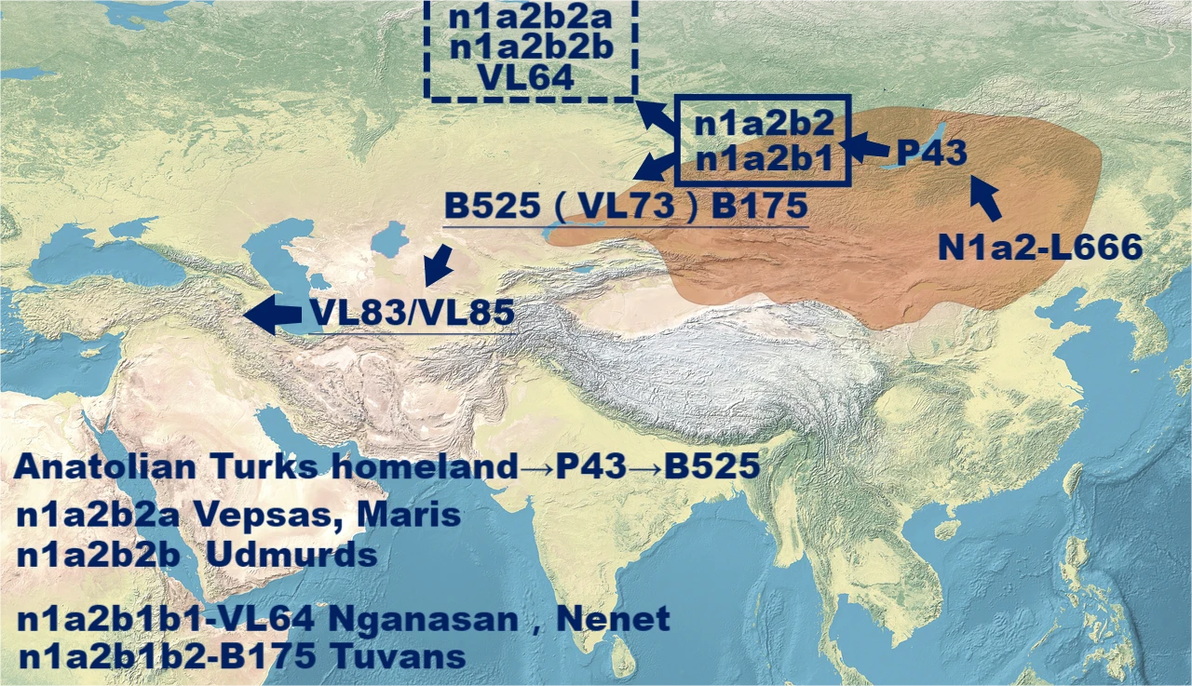 前-匈奴人口的形成及N1a2的扩张 - 哔哩哔哩