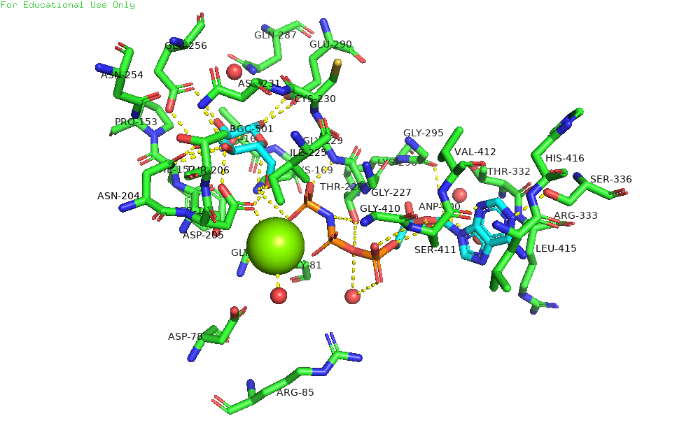 PyMOL绘图实例【03】酶活性位点的展示 - 哔哩哔哩