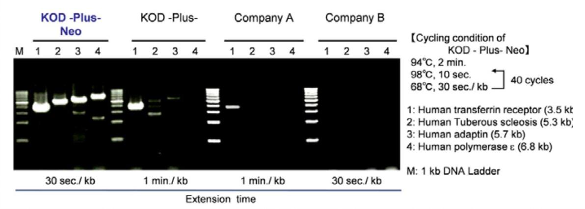 KOD-Plus-Neo产品说明书 - 哔哩哔哩