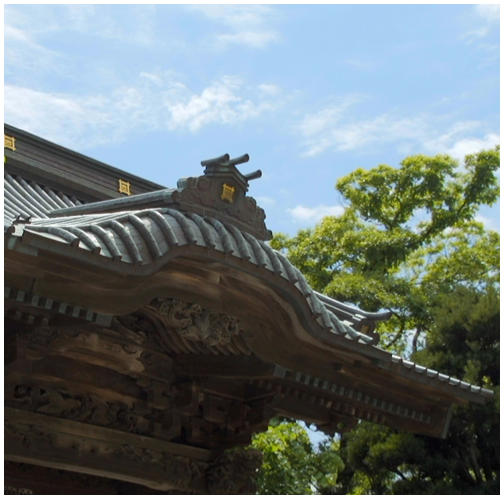 SONY官方创作者指南——S-Log和HDR HLG是什么 (三) - 哔哩哔哩