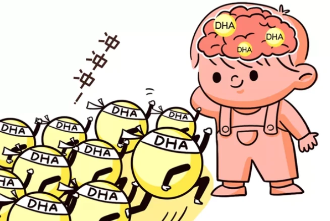 DHA的作用与功效 DHA的有多少益处 埃森美DHA - 哔哩哔哩