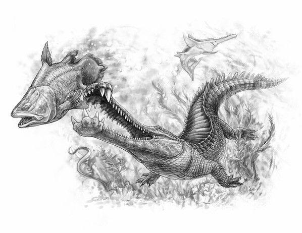 【科普】浅谈白垩纪那些巨型大头鳄类 - 哔哩哔哩