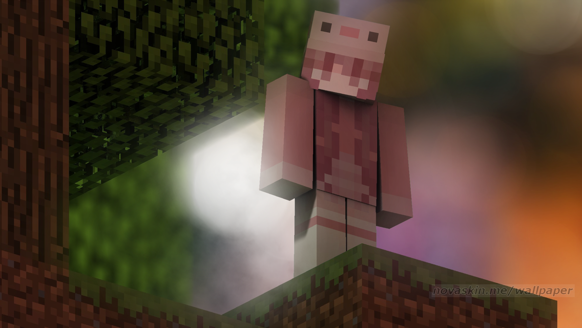 Nova Skin——一个有点好用的MC工具网站 - 哔哩哔哩