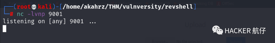 TRY HACK ME｜Vulnversity 靶场全演练 - 哔哩哔哩