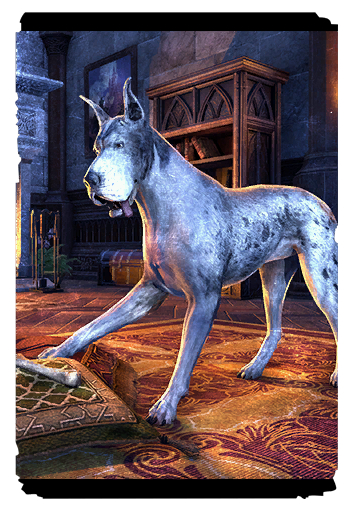 贝尔达玛命运女巫/Beldama Wyrd （上古卷轴组织） - 哔哩哔哩