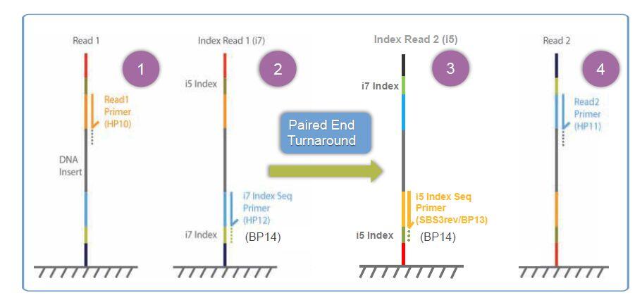 干货 | Index这件小事，你get了吗？ - 哔哩哔哩