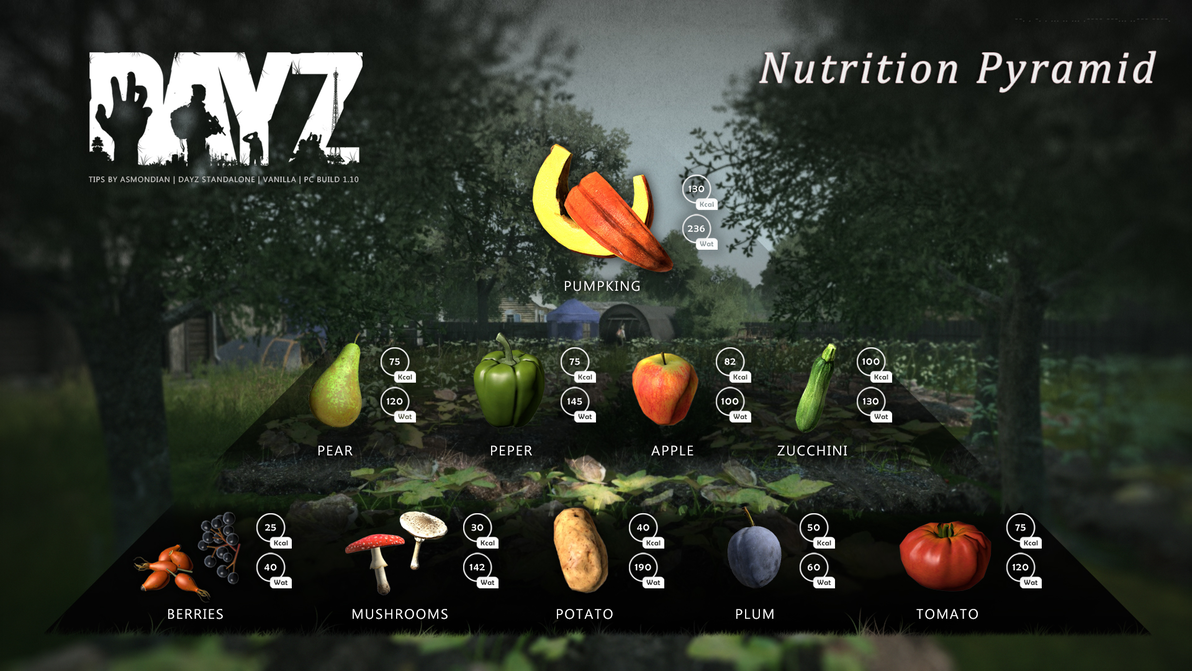 DAYZ 关于食物篇 - 哔哩哔哩